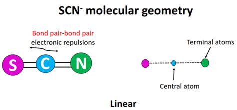 Scn Lewis Structure Molecular Geometry Bond Angle Hybridization