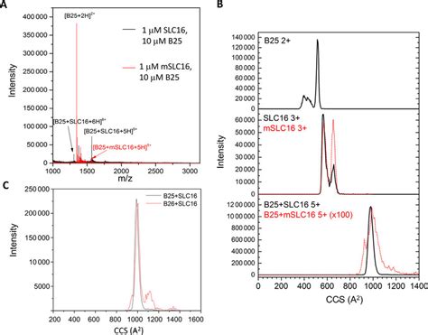 ims ms analysis of the nta binding to rna a mass spectra for b25