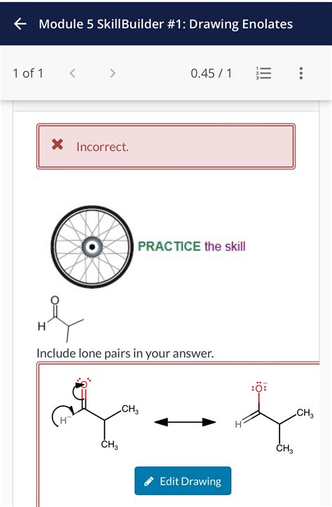 solved module 5 ﻿skillbuilder 1 drawing enolates1 ﻿of
