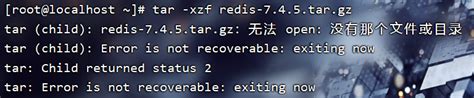 25年黑马redis基础篇在linux虚拟机中安装redis 个人记录、详细图解 linux虚拟机安装redis csdn博客