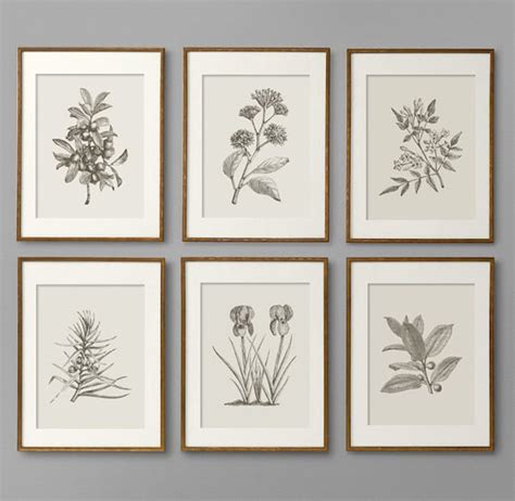 Botanical Prints Botanical Print Set Botanical Art Botanical Etsy
