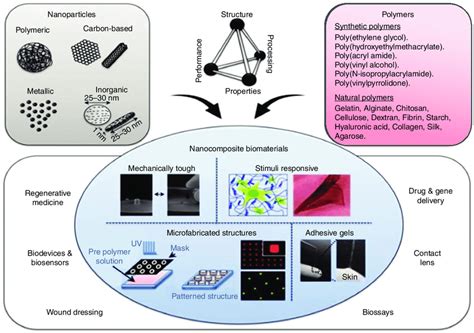 The Nanocomposite Hydrogels For Biomedical Applications Adapted From Download Scientific