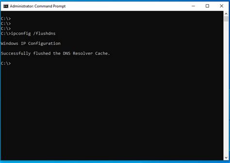 Clear The DNS Cache WordPress Support