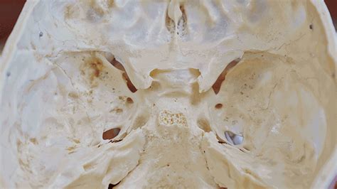 Why Some Concussions Are Worse Than Others University Of California