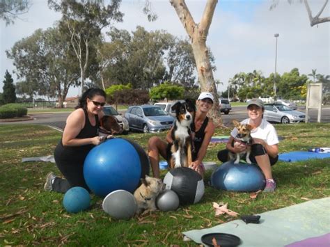 We Have A Ball In Class Leash Your Fitness