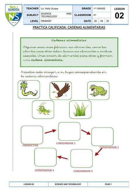 Cadena Alimenta Free Interactive Worksheets 334015