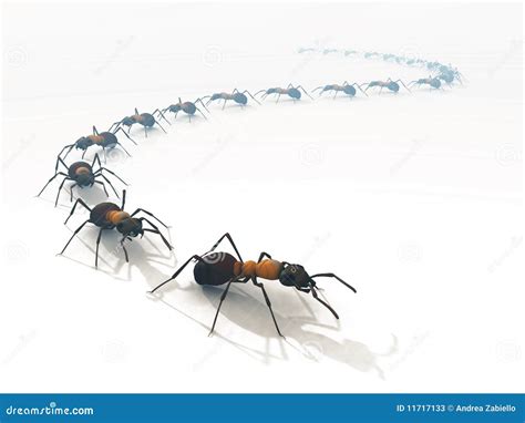 3d Ants Line Queue White Isolated Stock Illustration Illustration Of