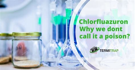 Chlorfluazuron Why We Dont Call It Poison Termite Baits Qld