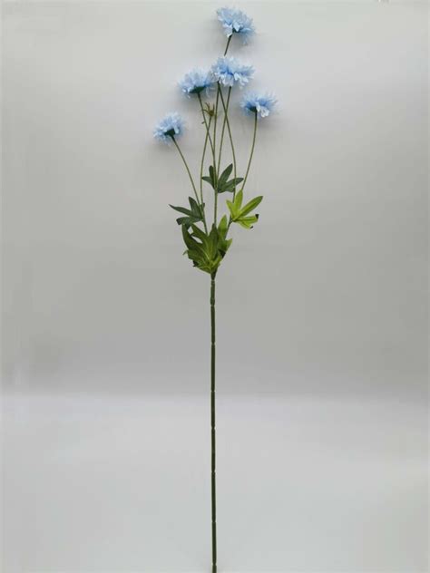 Single Stem Daisy Blue 2 Stems In A Pack24 Or More £1 Each Stem