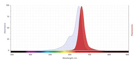 Cy5 Nhs Ester Vector Labs