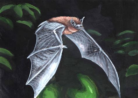 Pipistrelle By Grim1978 On Deviantart