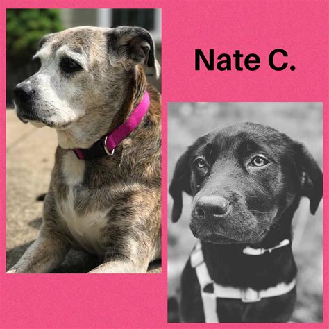 Progressbook Progressbook Added A New Photo