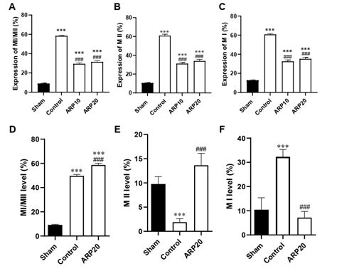Levels Of M1 And M2 And Their Ratio M1 M2 In Both Spinal Cord A C Download Scientific