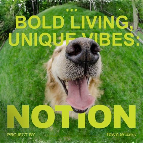 Notion New Cairo Town Writers