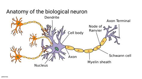 Artificial Neural Networks An Introductionpptx