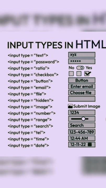 html for beginners coding for beginners html input tags html