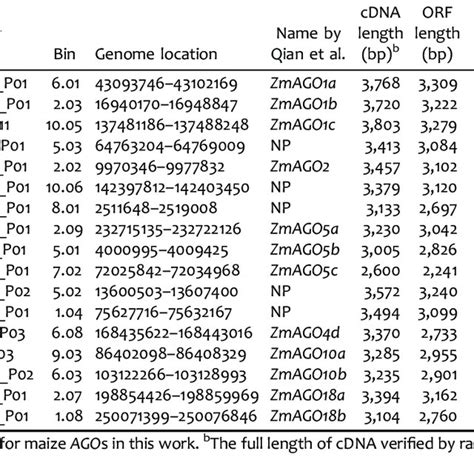 Basic Information Of Argonaute Genes In Maize Download Table