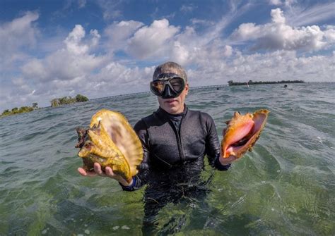 Helping Queen Conchs Find Their Sex Drive In The Florida Keys