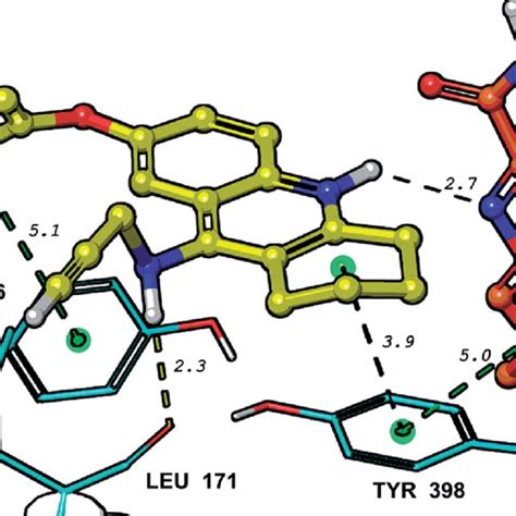 Top Scored Binding Mode Of 23 Yellow In Hache Pdb Id 4m0e