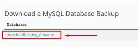 How To Download Mysql Database From Cpanel Maxcloudhost