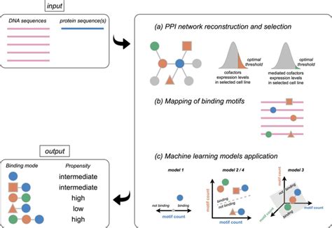 Using The Panda Approach Once Dna And Tf Sequences Are Submitted To Download Scientific