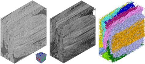 3d volume rendering results of dataset 1 a raw data b