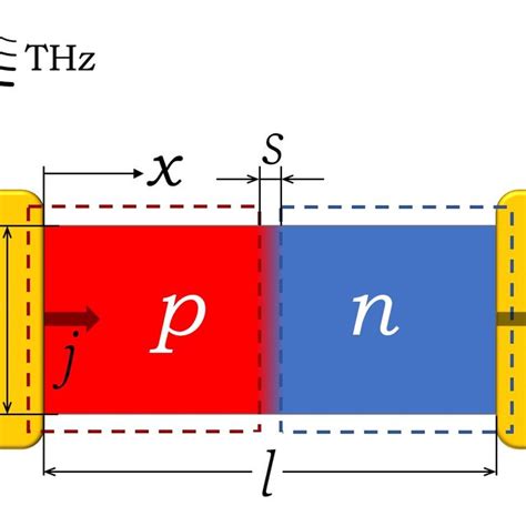 The Model Geometry Of Graphene Detector With A P N Junction In The Download Scientific Diagram