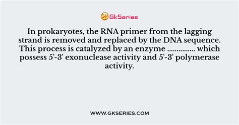 In Prokaryotes The Rna Primer From The Lagging Strand Is Removed And Replaced By The Dna Sequence