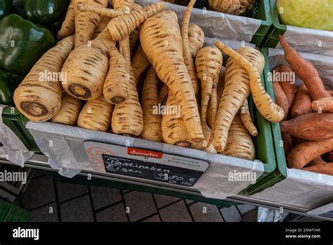 Root Vegetable Parsnip Display At The Weekly Market Market In