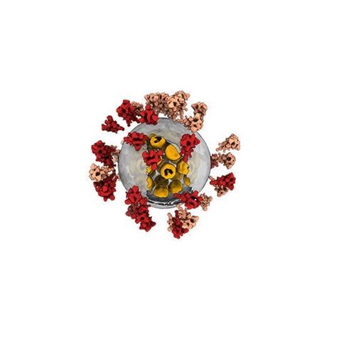 Biological Sample Support QUANTIFOIL SPT Labtech Carbon Film