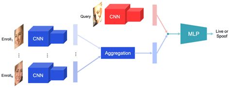 High Level Schema Of The Proposed Framework For Face Anti Spoofing Download Scientific Diagram