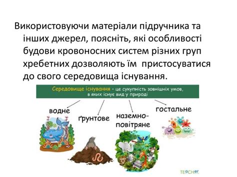 Практична робота 4 Тема Порівняння будоваи кровоносної системи хребетних тварин