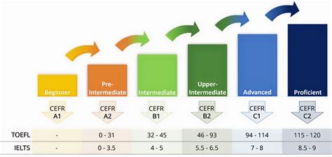 Fc10 Foundation Courses Ielts Counsellor In