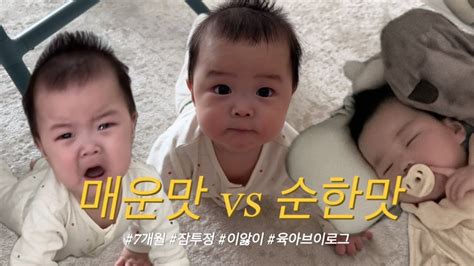 Vlog 매운맛vs순한맛 7개월 잠투정 이앓이 육아브이로그 Youtube