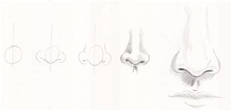 How To Draw Human Nose Step By Step Easy