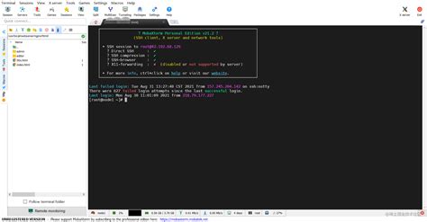 【nginx前端部署】如何在同一台服务器部署多个不同的web项目 掘金