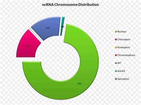 生物信息学和计算生物基因的长非编码rna版权超级计算设备 版权png图片素材下载 图片编号2223818 Png素材网