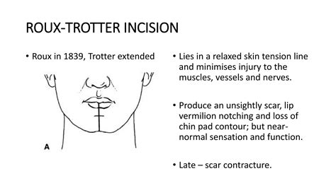 Lip Splitting Incisions Ppt