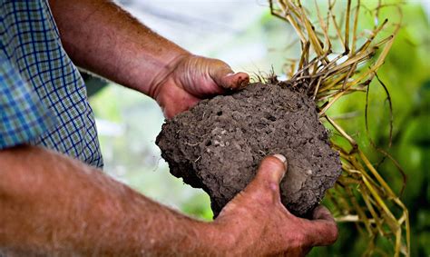 Why Replenish — Replenish Nutrients 1