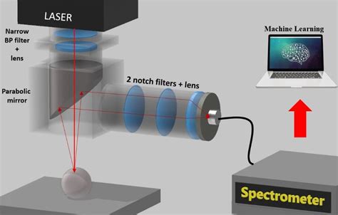 Experimental Set Up For Low Resolution Raman Measurement System Download Scientific Diagram