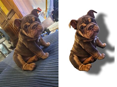 Background Remove With Shadows By SmileGoodHope On Dribbble