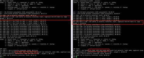 Evpn Vpws Over Srv6 Or Evpn L2vpn Over Srv6 · Issue 13657 · Frrouting