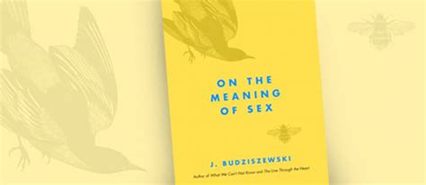 Sex Sanity And Eternity Catholic World Report