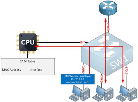 igmp snooping
