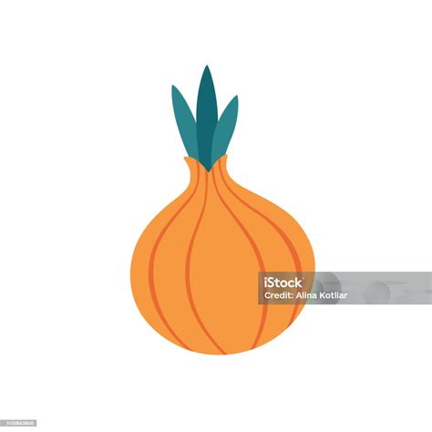 양파 야채 여름과 가을 수확 농업 건강하고 유기농 식품 평면 스타일의 벡터 일러스트 레이 션 건강한 식생활에 대한 스톡 벡터 아트 및 기타 이미지 Istock