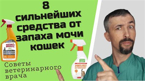 Всё от запаха мочи кошек - YouTube