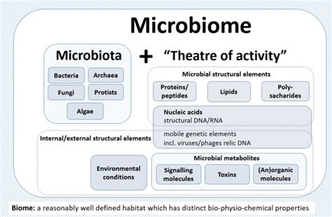 Microbiome As Microbiota Plus Their Theatre Of Activity Wikimedia