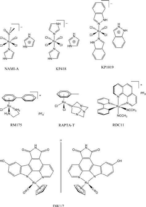 Schematic Representation Of The Hypothetic Mode Of Action Of Kp1019 Download Scientific