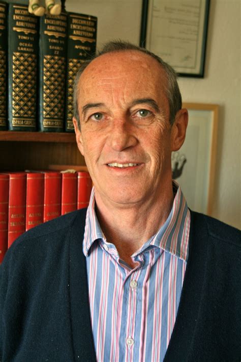 El Planeta De Los Simios Madrid Market