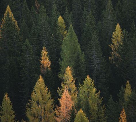 Asplund Contract Vol 03 Asplund